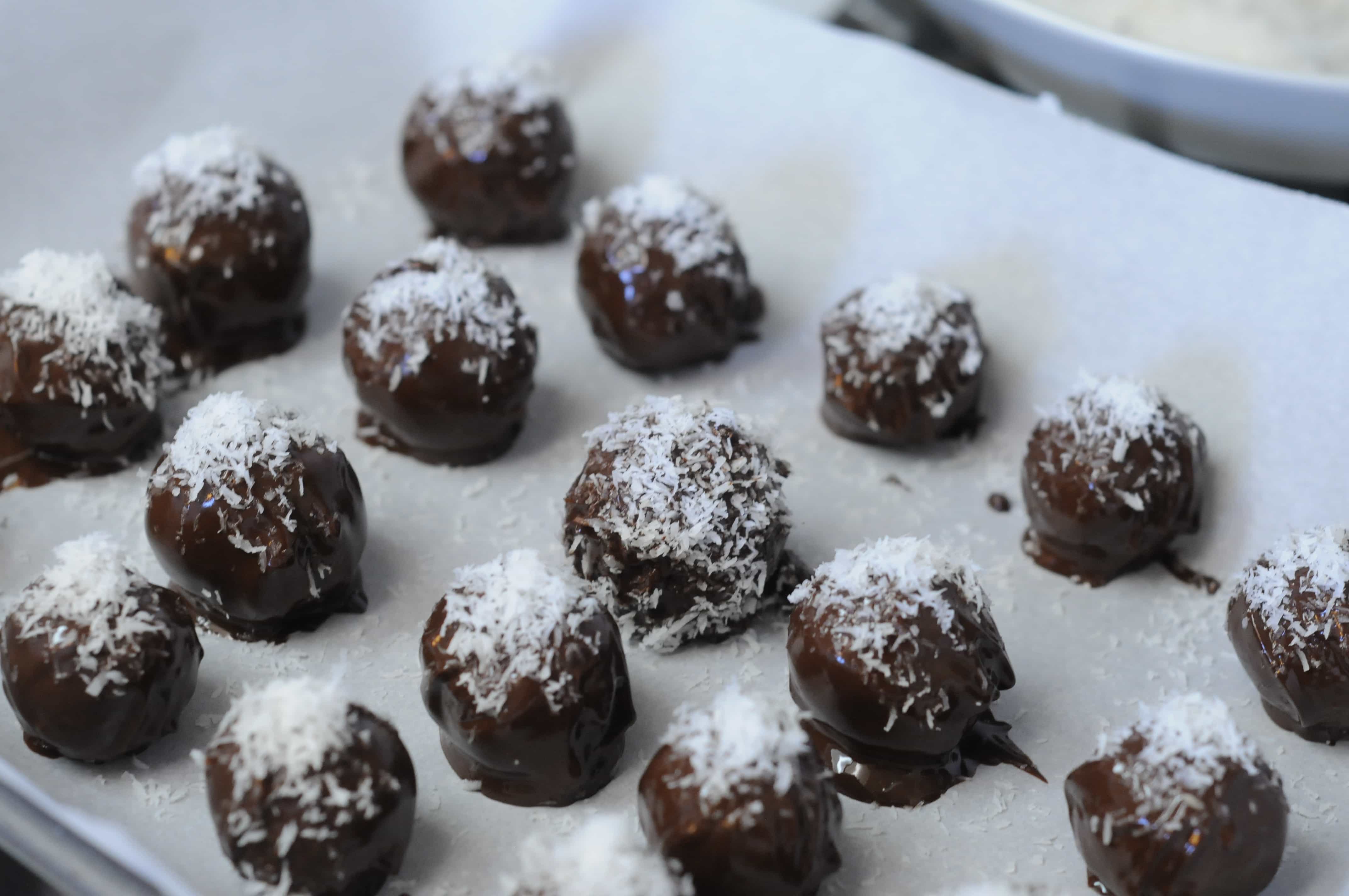 Trail Mix Truffles — Fried Dandelions — Plant Based Recipes