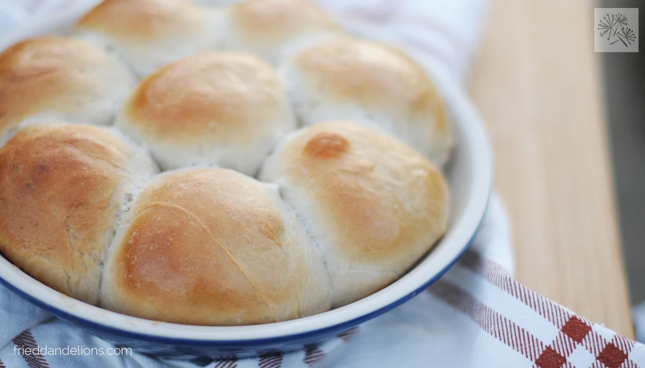 Maple Dinner Rolls with Aquafaba — Fried Dandelions — Plant Based Recipes