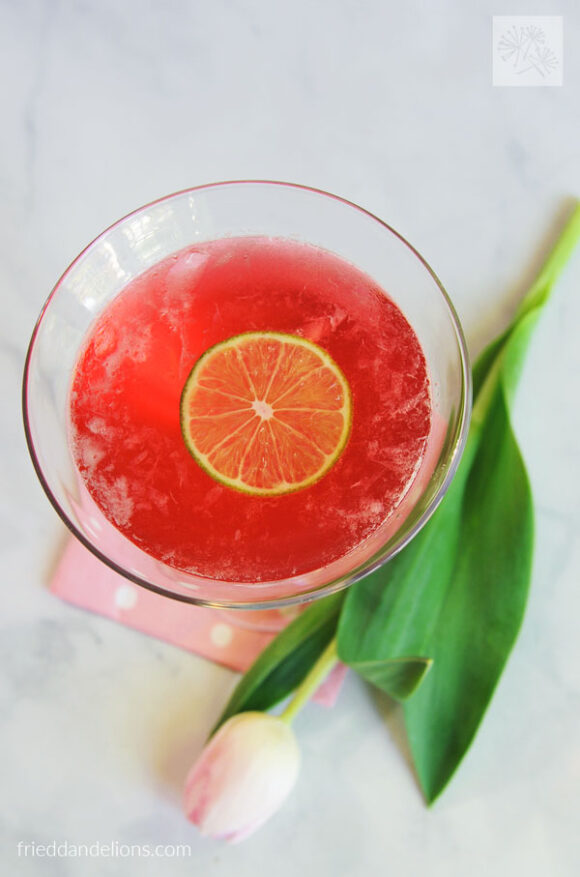 Cosmopolitan Cocktail — 4 ingredient recipe — Fried Dandelions — Plant ...